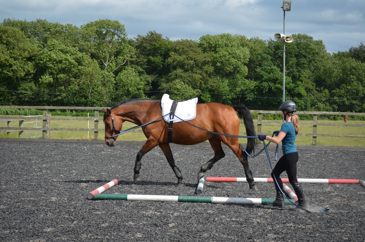 Perfect Partners Polework – Part 1 - The Comfy Horse Company